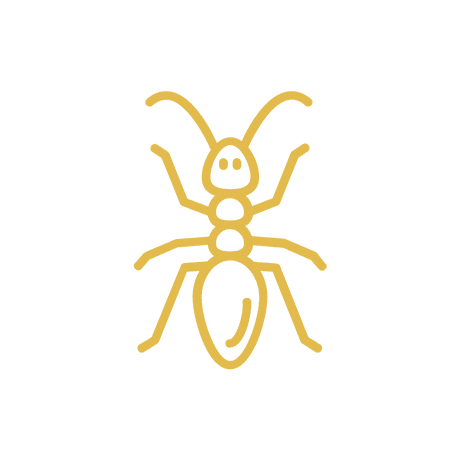 Pest Control Perth | Affordable & Trusted Pest Control Services ...