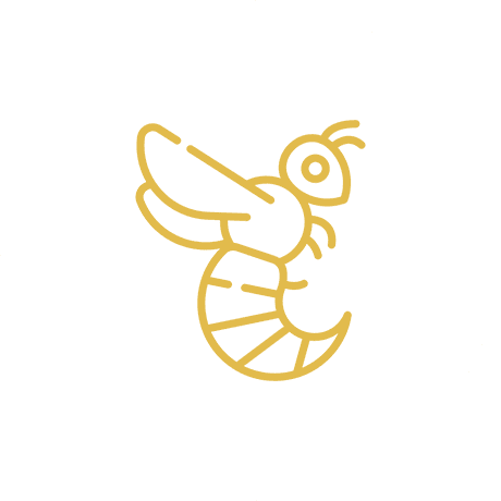 Pest Control Perth | Affordable & Trusted Pest Control Services ...