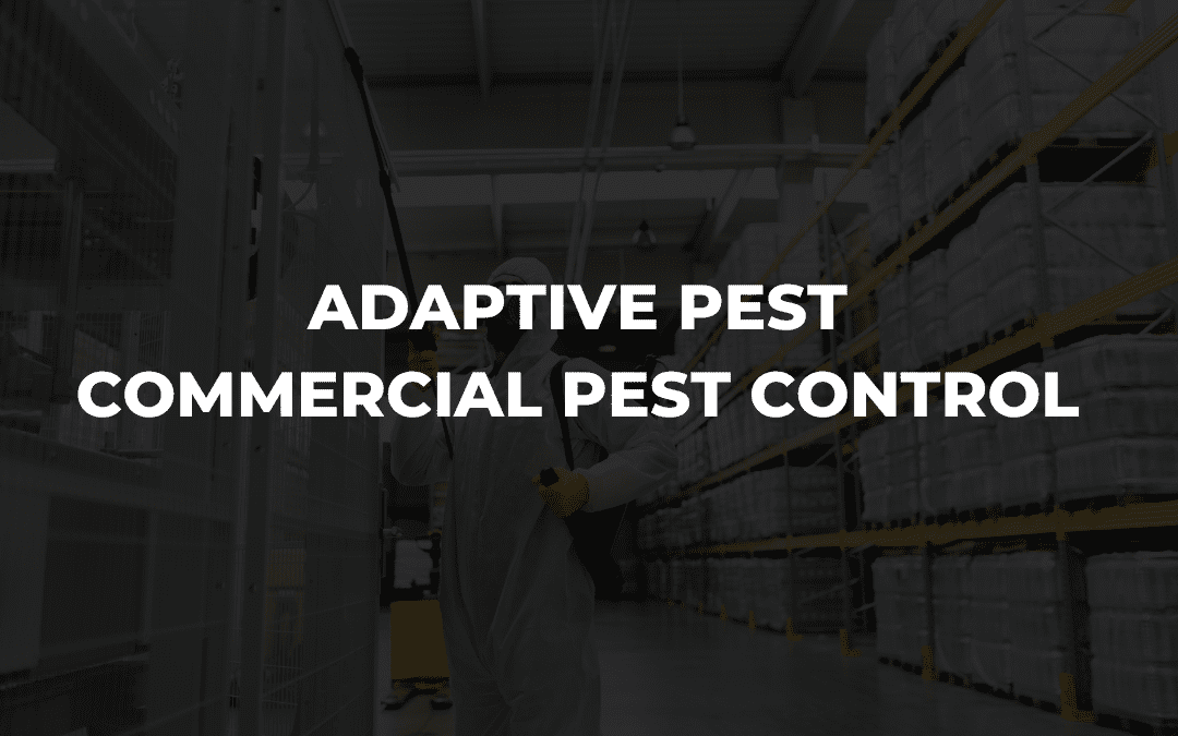 Commercial Pest Control | Adaptive Pest Control